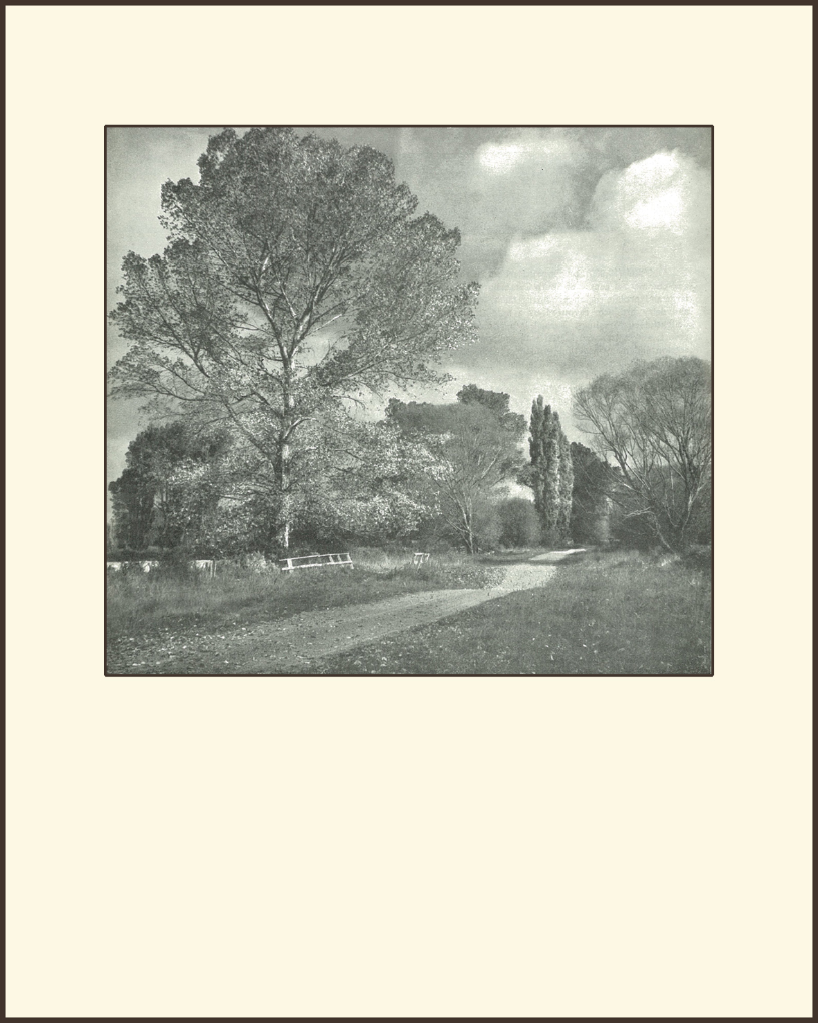 Early New Zealand Photographers: CHANCE, George