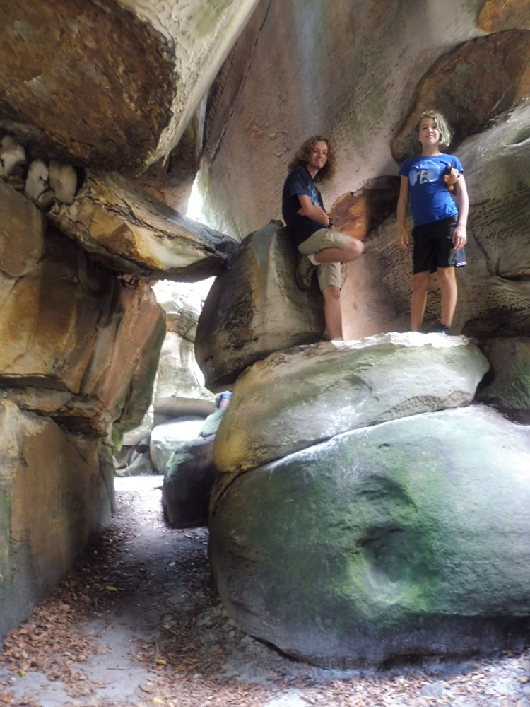 The Enchanted Tree: Hiking the Great Channels of Virginia