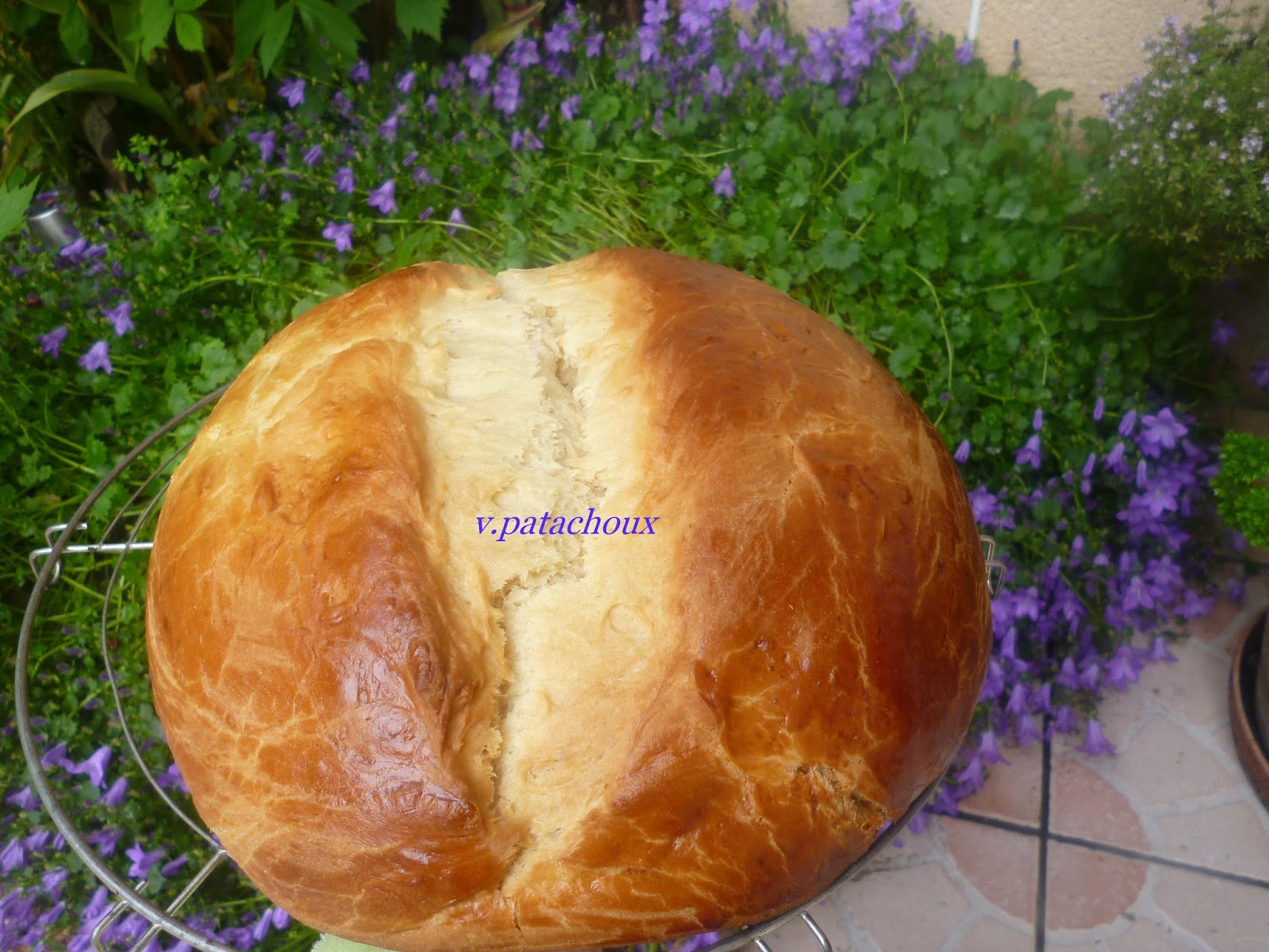 v.patachoux: GÂCHE VENDÉENNE