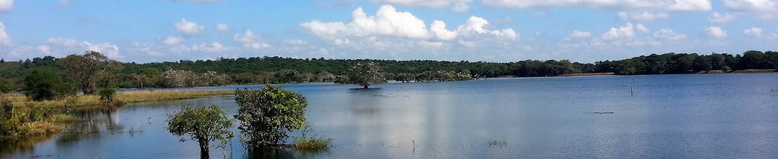 Isuru Linux: ඔබේ ඉසුරු ලිනක්ස් පරිගණකයේ Unity Desktop’s Launcher එකේ ...