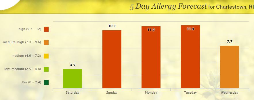 Progressive Charlestown: Heavy pollen tomorrow and following days