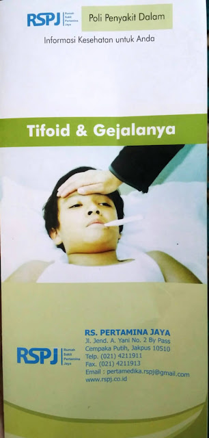 Tanda Gejala Dan Pengobatan Demam Tifoid