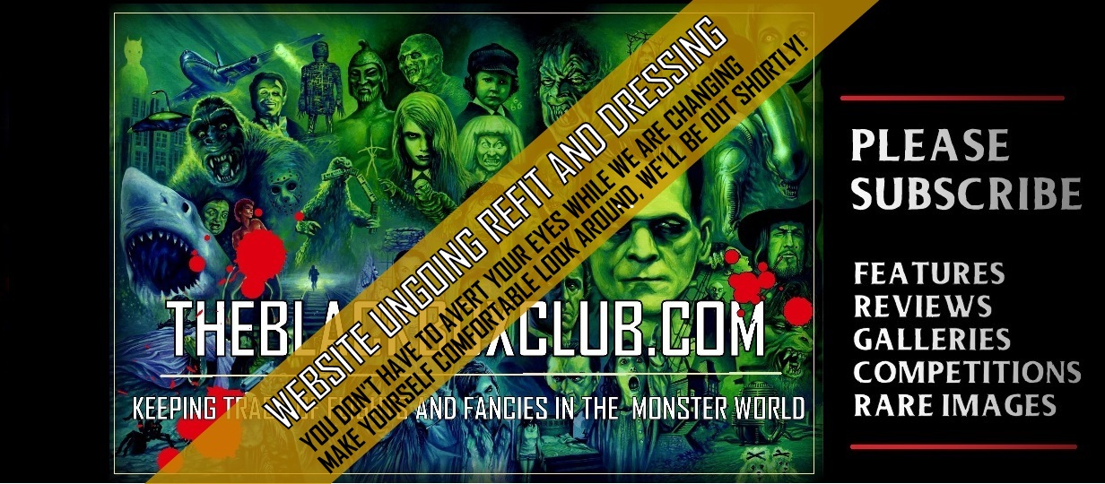 The Black Box Club: HILARY SWANK: HAMMER FILMS BLACKBOXCLUB PIN UP 42