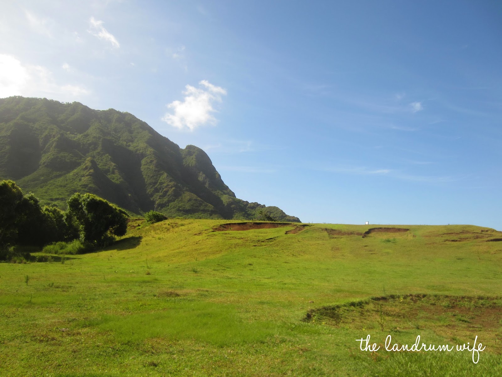 And Drink the Wild Air: Getting to Know Hawaii: Kualoa Ranch ATV Tour