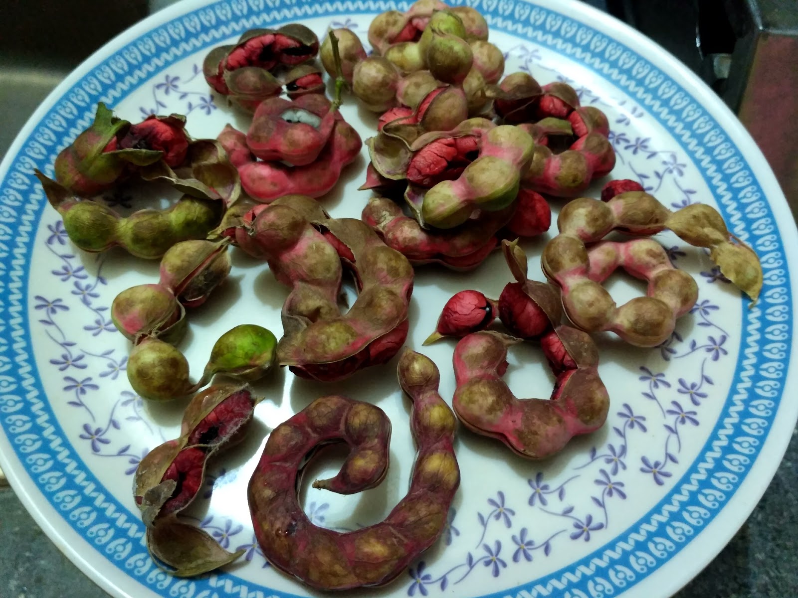 Passions & Practices