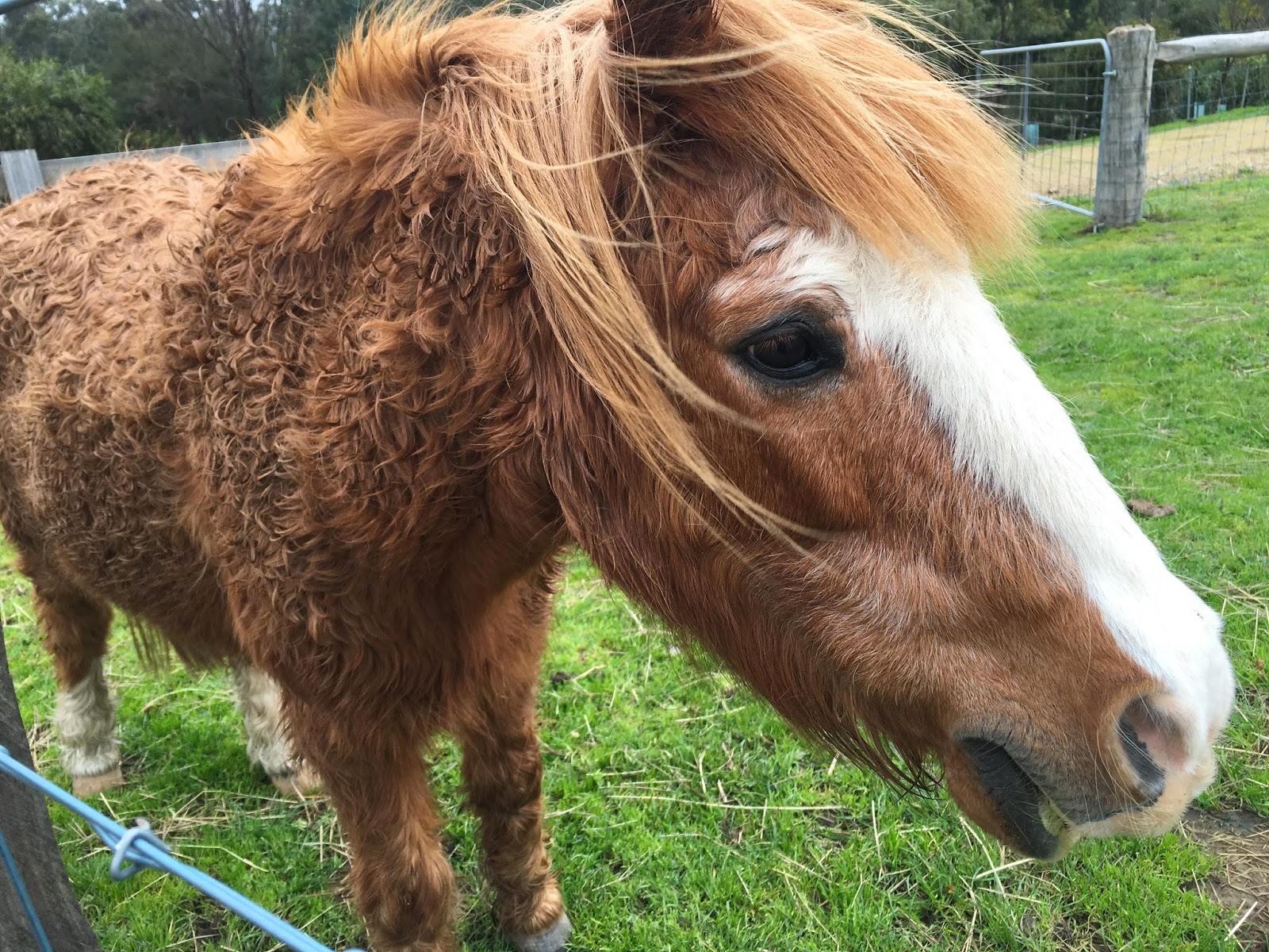 RDO Melbourne: Edendale Farm, Eltham