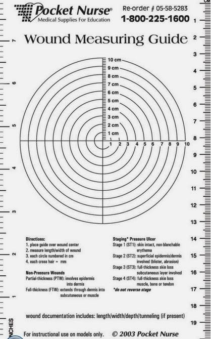 Apply My Profession: CPT