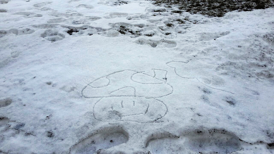 Snoodle (Snow doodles)