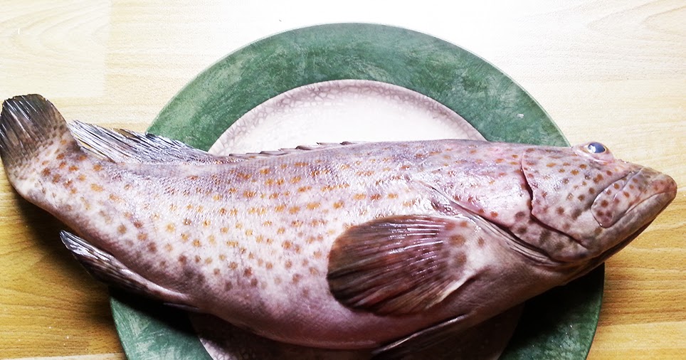 FCU HOMESCHOOLING JOURNEY: GANDINGAN LAUK PAUK HARIAN 4 (KARI KEPALA ...