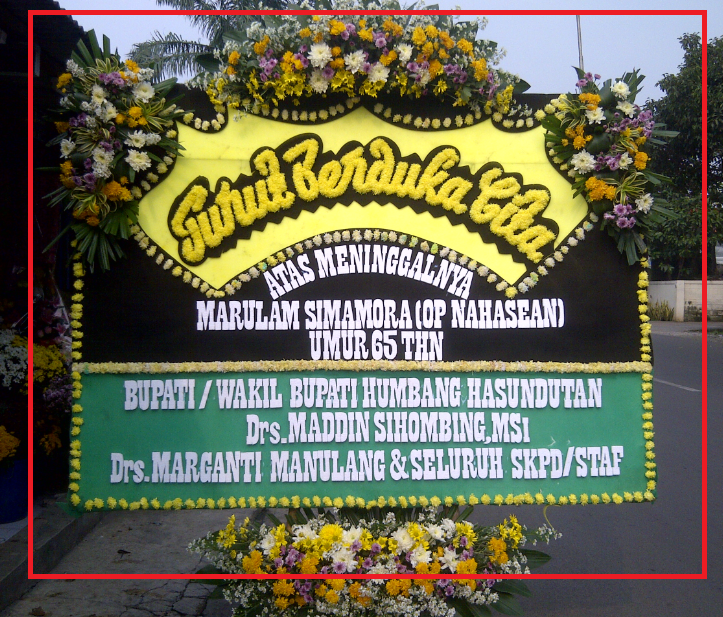 Wajib Tahu! Contoh Bunga Papan Terbaik - Informasi Seputar Tanaman Hias