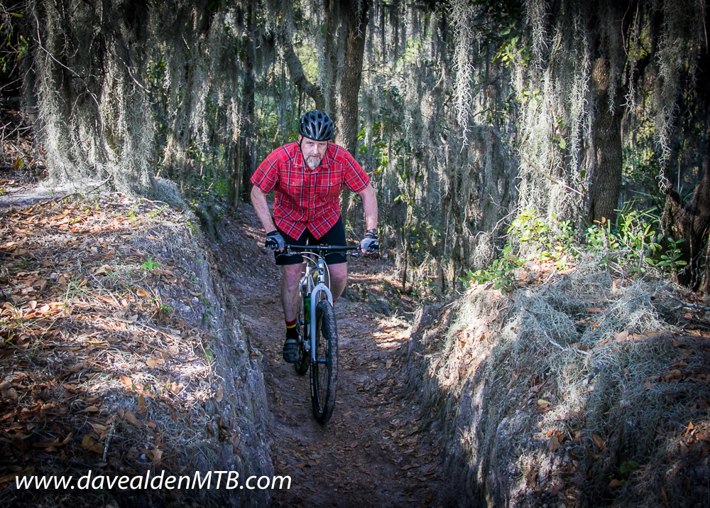 Balm Boyette Scrub Preserve Mountain Bike Trails, Lithia, Florida