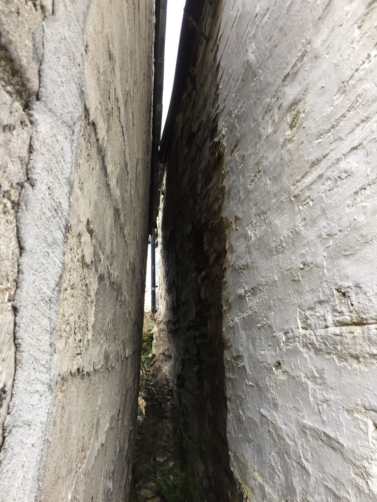 The Padstow Cottage: Planning, Bats and Wonky Walls!