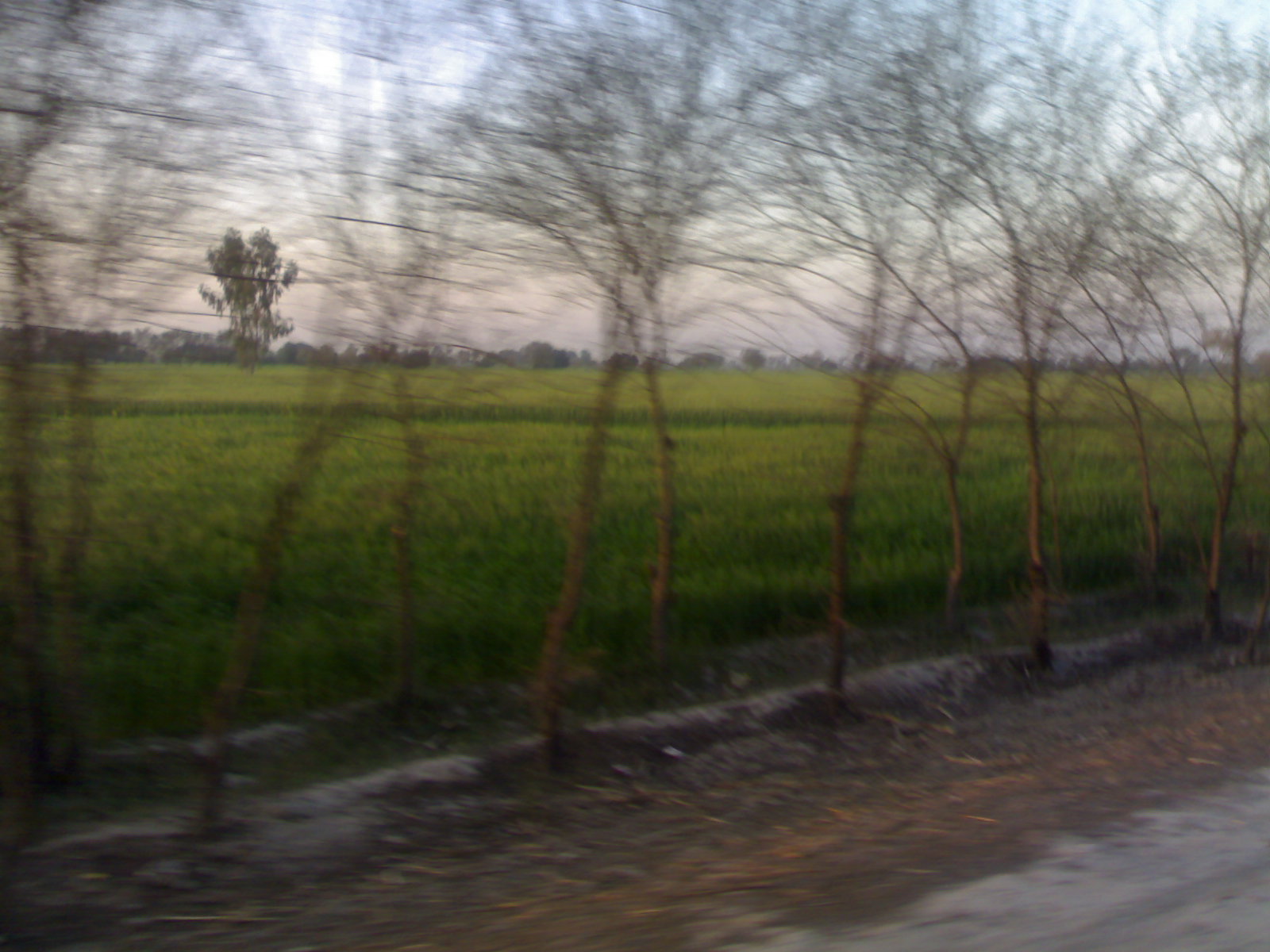 VEHARI IS BEAUTIFUL CITY OF PAKISTAN: FAMOUS VILLAGES IN VEHARI