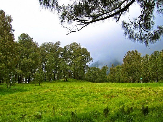 Lembah Kijang Di Gunung Arjuno Welirang | Mangreza