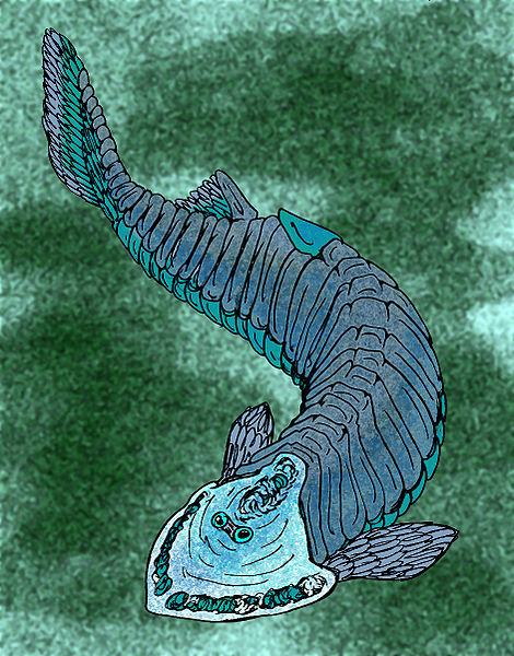 Artes de Pesca: VAMOS A PESCAR PEZ BRUJA (MYXINOS)