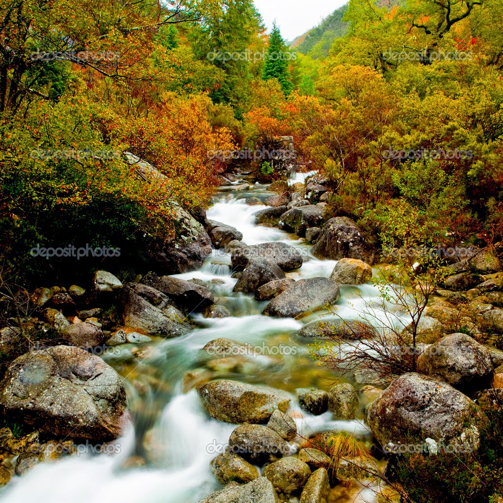 Beautiful Nature Images And Wallpapers: Mountain River | Beautiful ...