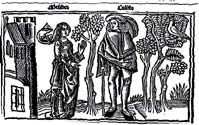 LA LOCURA DE TU VIDA: MELIBEA: ¿SEDUCTORA O SEDUCIDA?