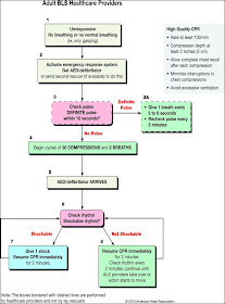 A & E Nurse's and Medic's View: BLS/ECC/ACLS Providers Updates (2010 ...