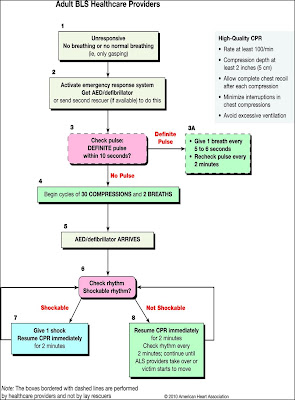 A & E Nurse's and Medic's View: BLS/ECC/ACLS Providers Updates (2010 ...