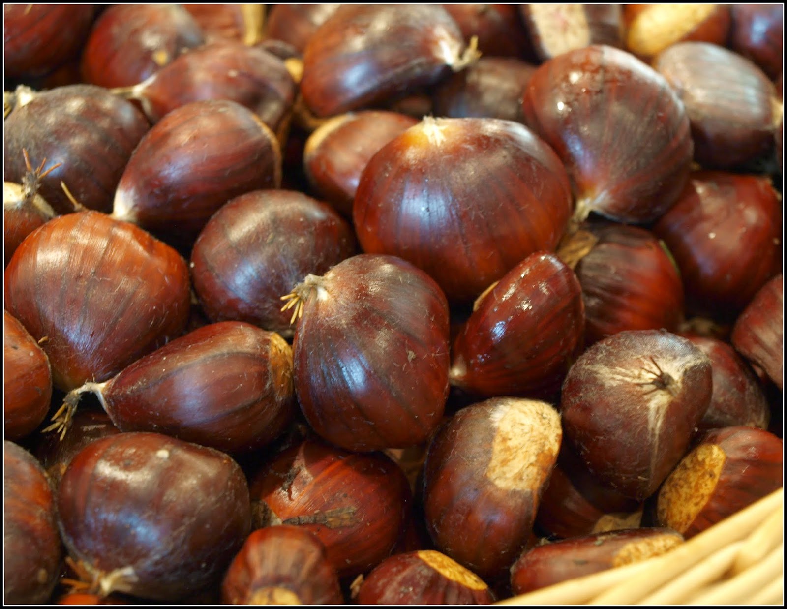 Mark's Veg Plot: Chestnuts