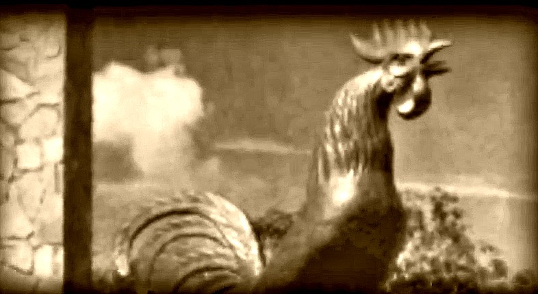 En el Colimador: "Como el Gallo de Morón"