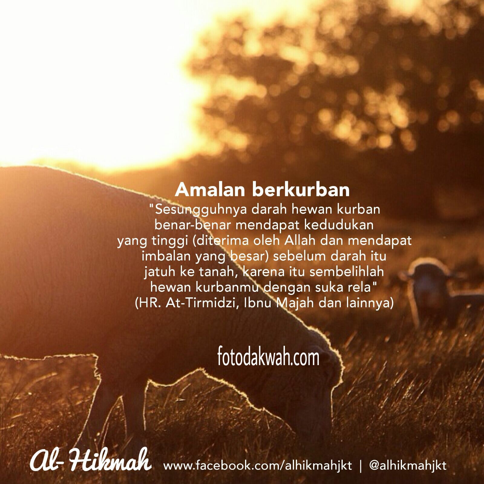 Foto Dakwah: Amalan berkurban idul Adha 2015