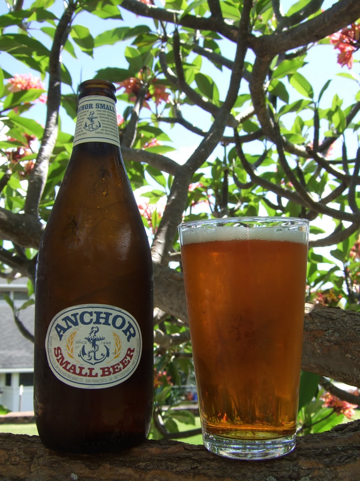 Oahu's Brews, News, and Reviews: Anchor -- Small Beer