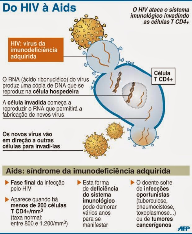 Esperando Eu Voltar: O que é AIDS?
