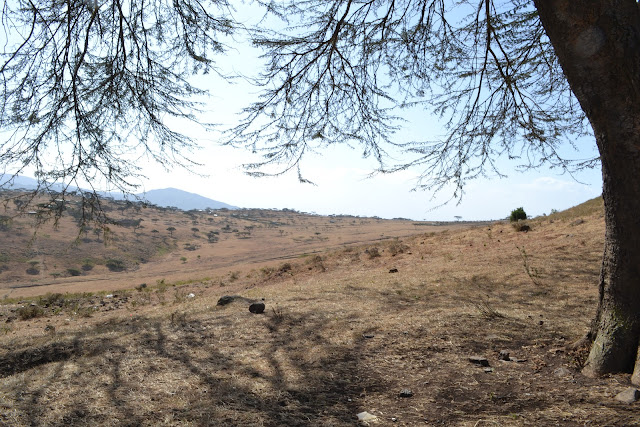 Blooming: A Tour Through the Kenyan Countryside