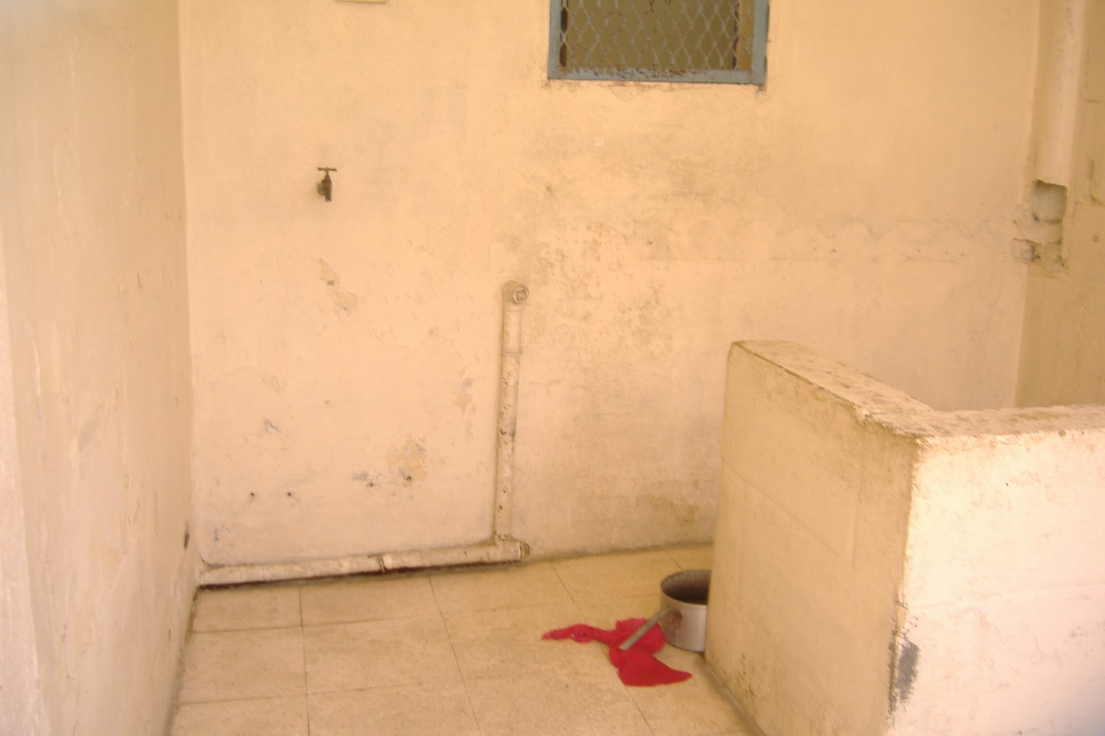 Praktik på SPCA malta