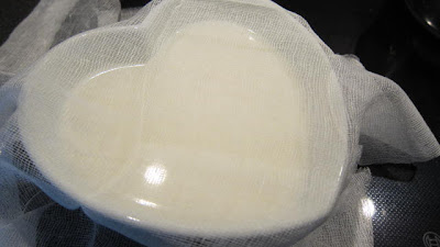 Dalmatian Mom: Hemmagjord filbunke