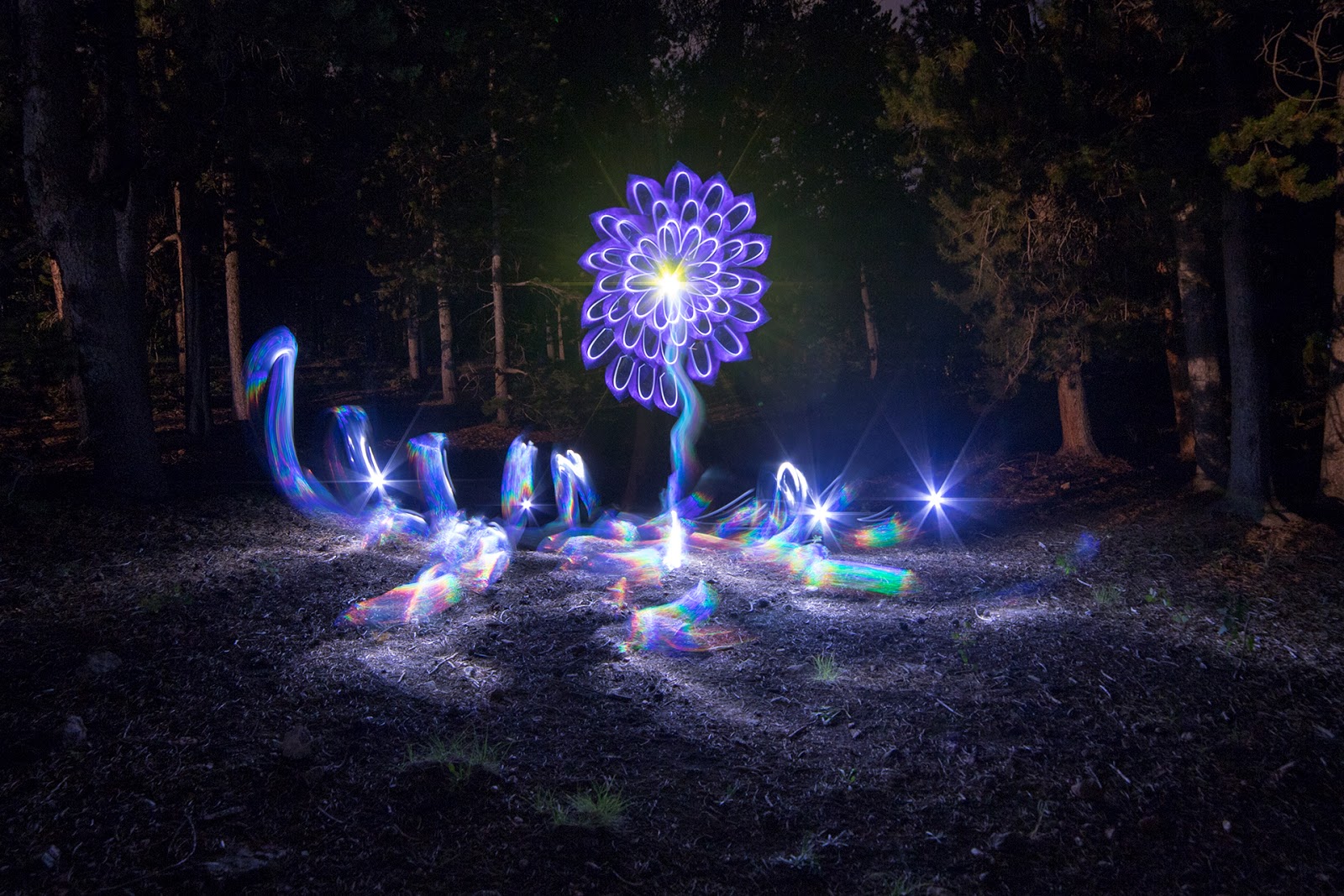Light Painting Flower Tutorial - Photography Blog Tips - ISO 1200 Magazine
