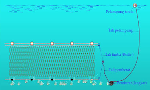 Gill Net (Jaring Insang) - LautanBiru.com