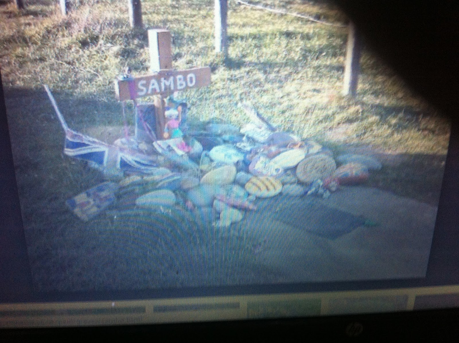 THE BLACK SOCIAL HISTORY:: BLACK SOCIAL HISTORY : SAMBO GRAVE IS THE ...