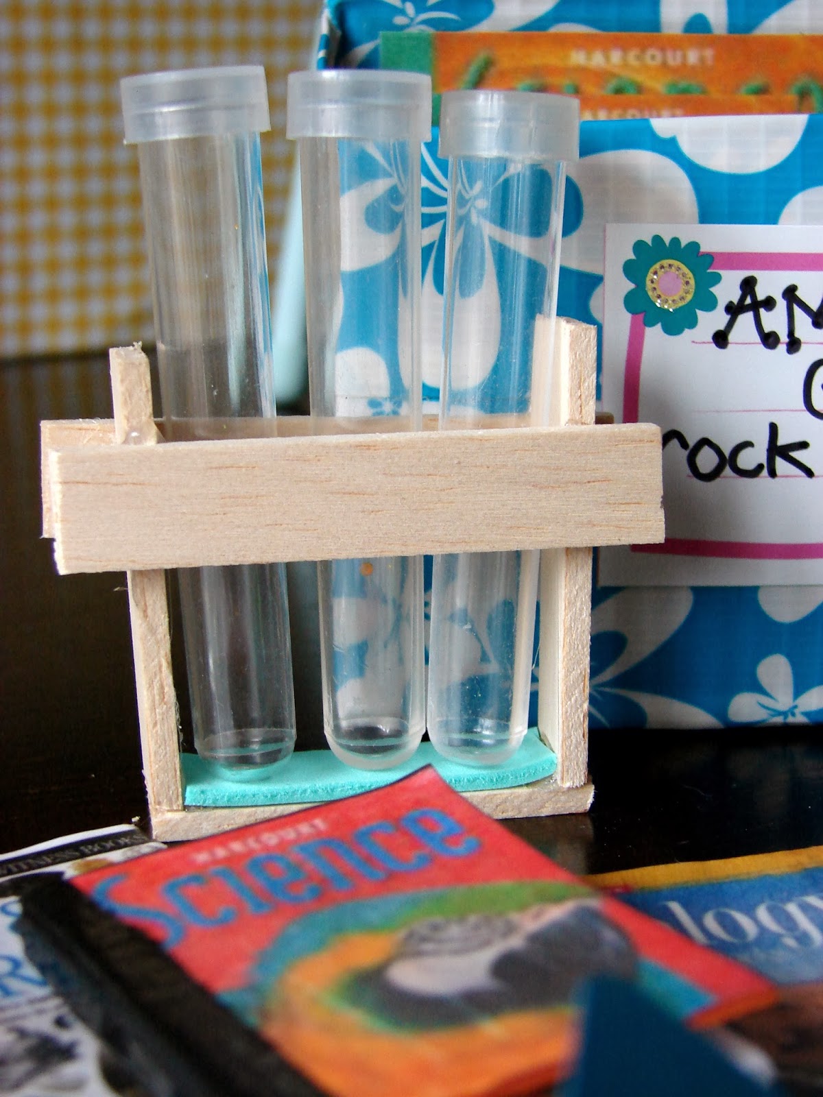 American Girl Doll Play: Doll Craft: Make Your Dolls a Science Set