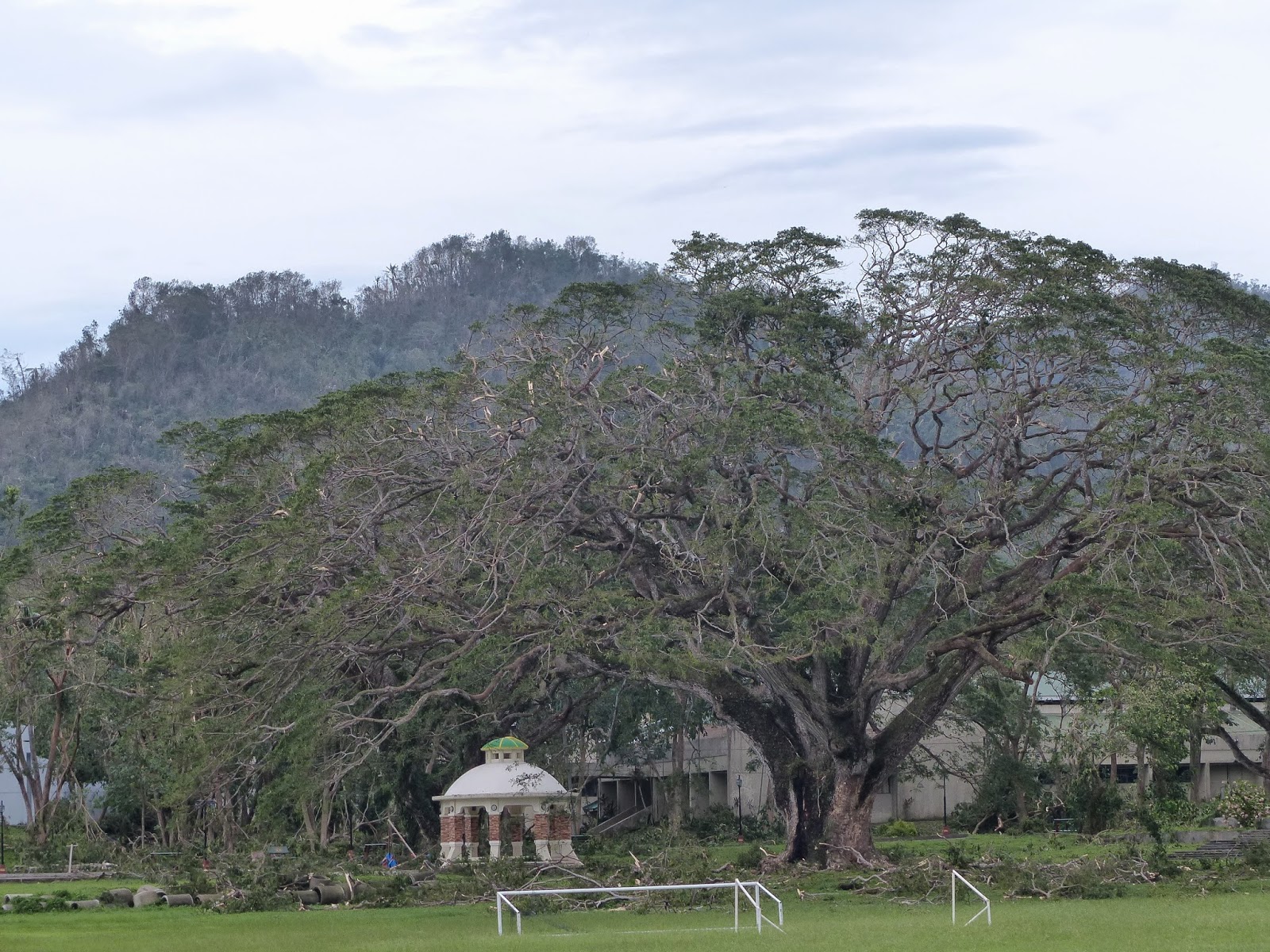 Connecting: When UPLB Went Dark and Silent