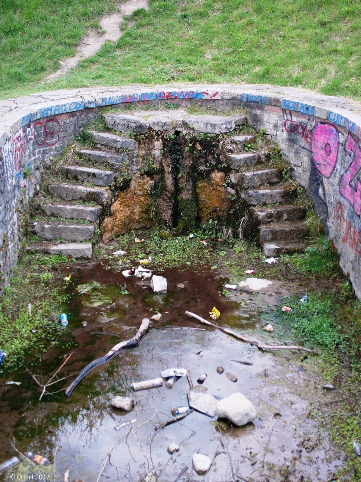 Ireland In Ruins: Leixlip Spa Co Kildare