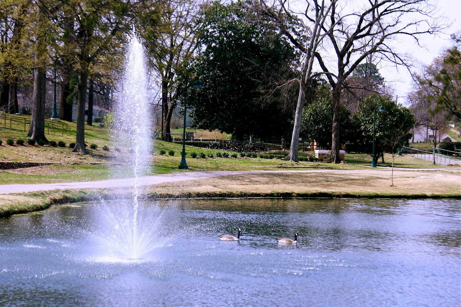 Birmingham Through My Lens: March 2012