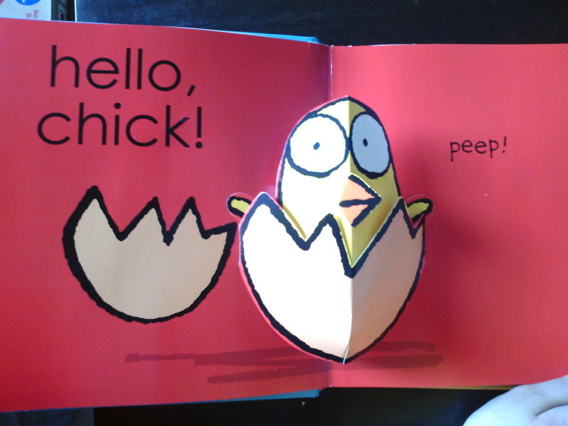 CHILDREN BOOKS FOR YOU: Chicks
