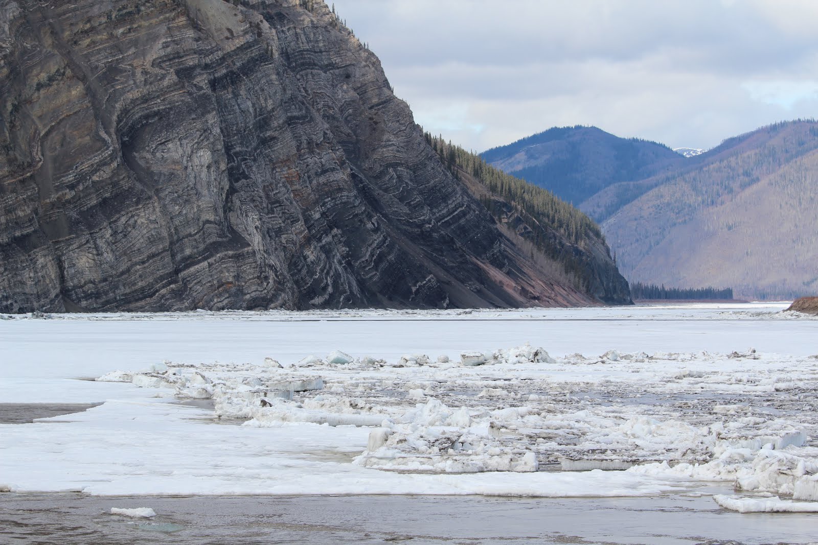 Our Life in Alaska's Wilderness: 2011