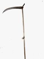 diego david: GUADAÑA HISTORIA