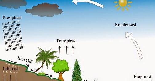 Pengertian Siklus Hidrologi Dan Macamnya Pengertian Siklus Hidrologi Dan Macamnya