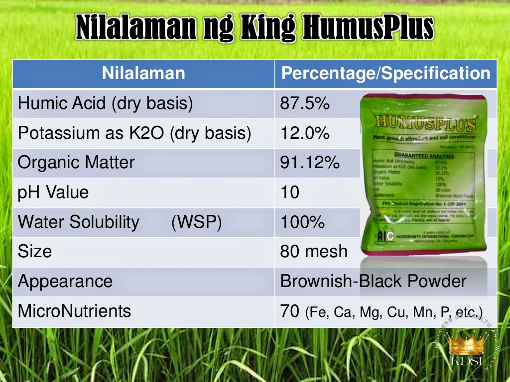 KING HUMUS PLUS: KING HUMUS PLUS