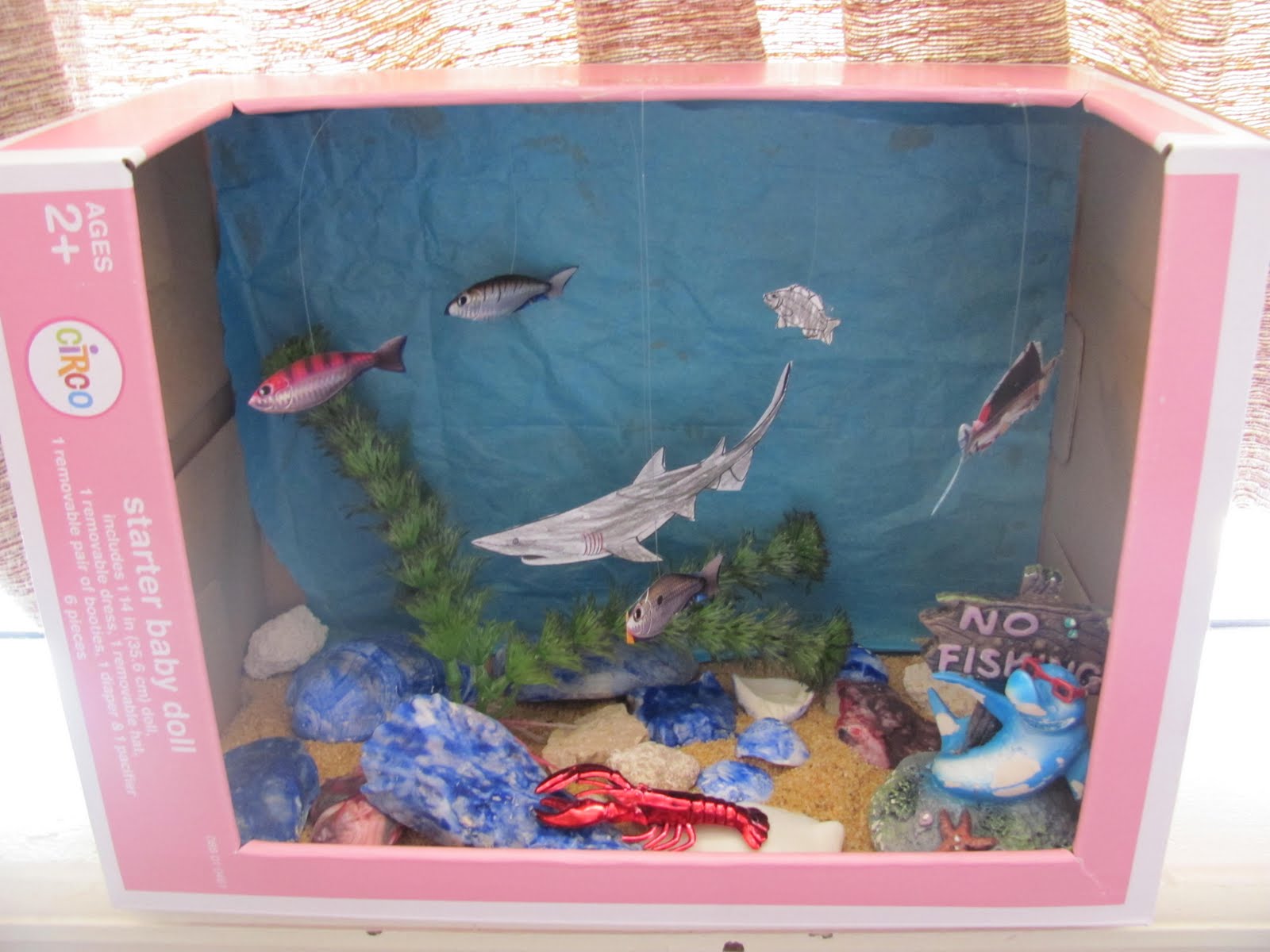 Live.Love.Laugh.Learn: Fish Tank