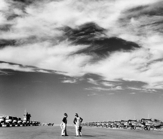 그냥 사진입니다. : MLBPARK