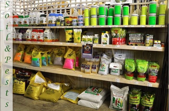 Amelia's SmartyPlants