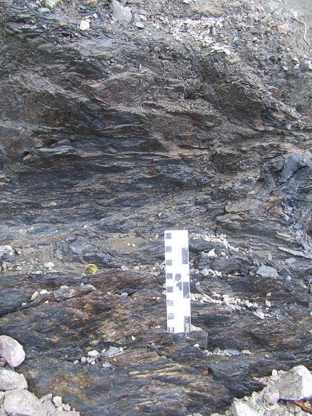 Martin Head (Southern New Brunswick)