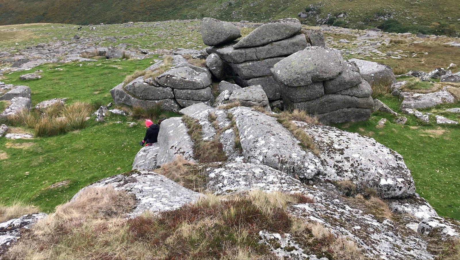 Max Piper - Tor Bagger: Dartmoor: The Tors and Rocks on Prewley Moor ...