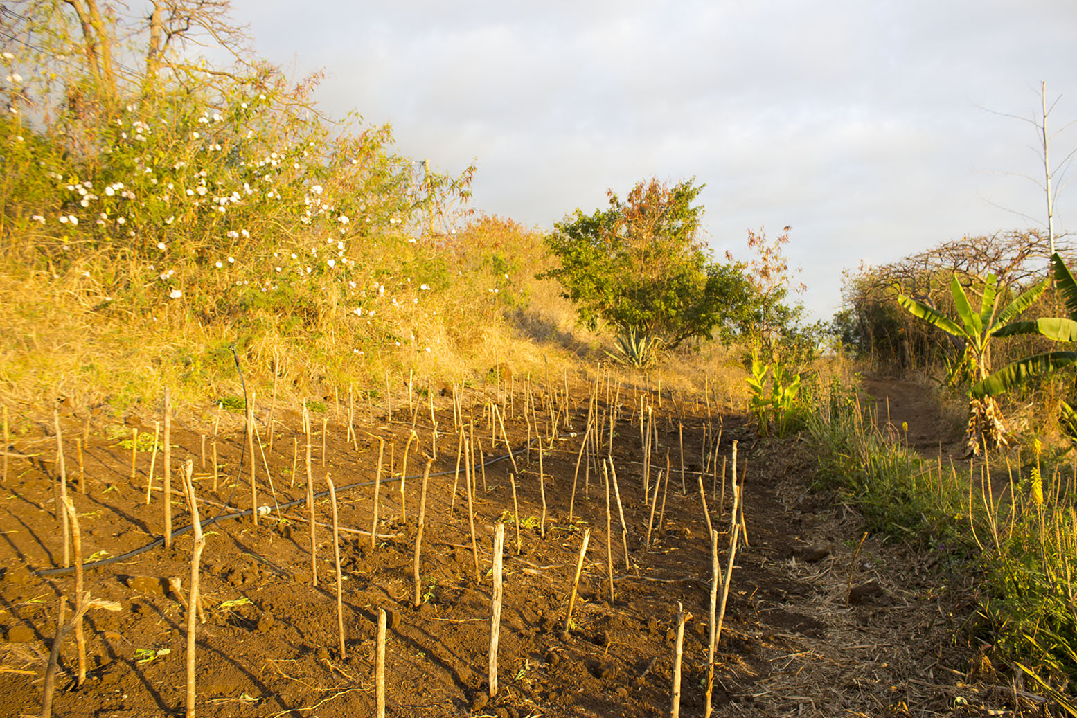 Zim Zima: Travaux à la ferme