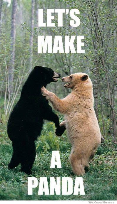 Let's make a Panda ~ Joke All You Can
